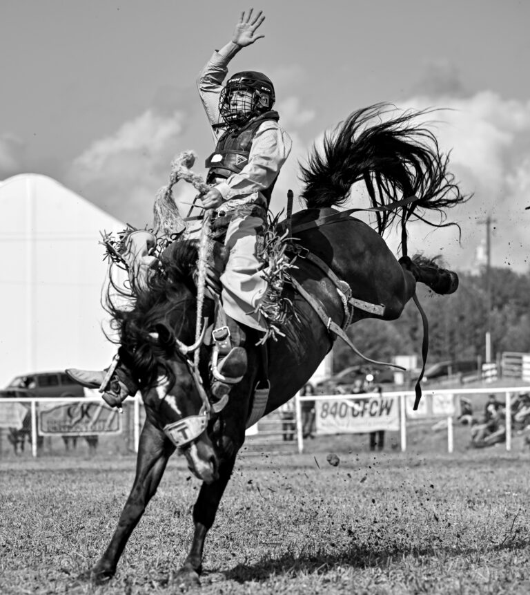 Rodeo Schedule - Entwistle Rodeo